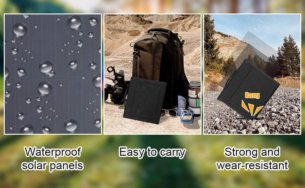 Portable Solar Panels vs. Traditional Panels: A Comparative Analysis ...